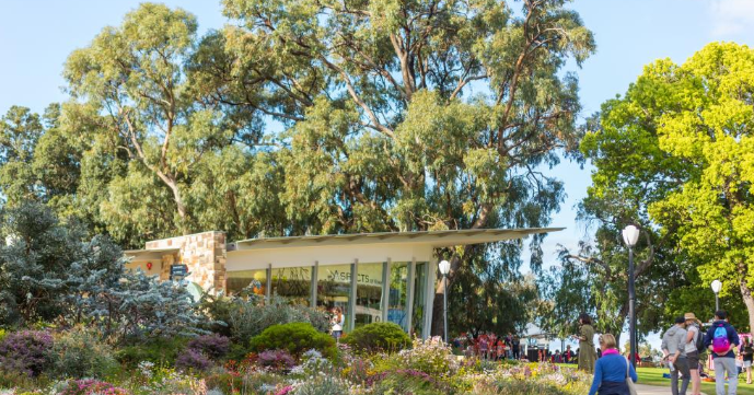 A billion reasons to visit Kings Park and Bold Park - New WAter Ways